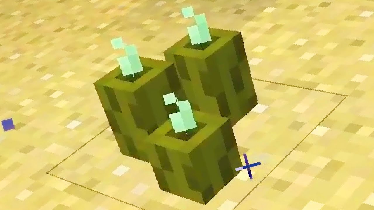 Everything About Sea Pickles In Minecraft YouTube