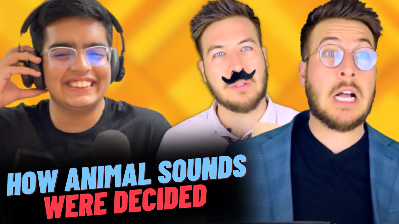 HOW ANIMAL SOUNDS WERE DECIDED Reaction!! | @RyanGeorge - YouTube