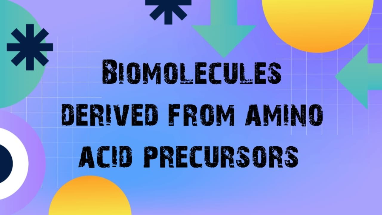 Biomolecules derived from amino acid precursors @BIOTECH IN BIOLOGY ...