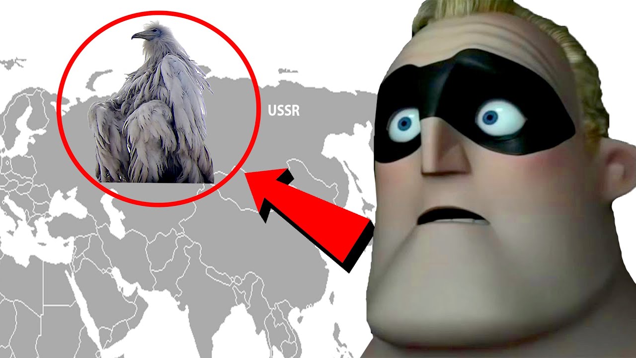 OPIUM BIRD'S LOCATION - YouTube