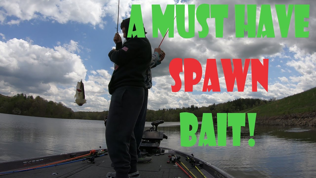 BEST Bait of ALL TIME around the spawn! - YouTube