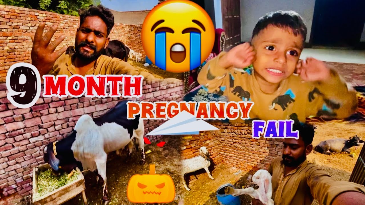 9 months pregnancy fail | 🐮 | sharjeelabbasbeautifulvlog - YouTube