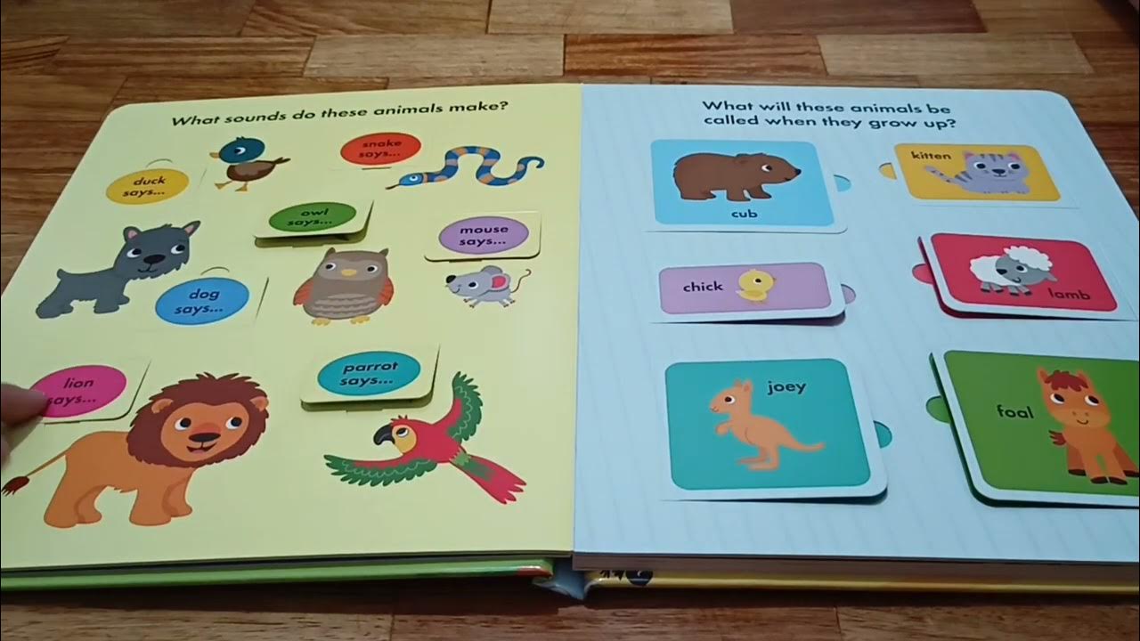 FINDING FIRST ANIMALS LIFT THE FLAPS - YouTube