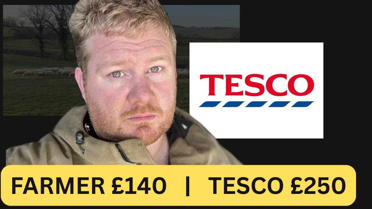 Is Tesco As Cheap As They Say? Farmer Breaks Down One Lamb - YouTube