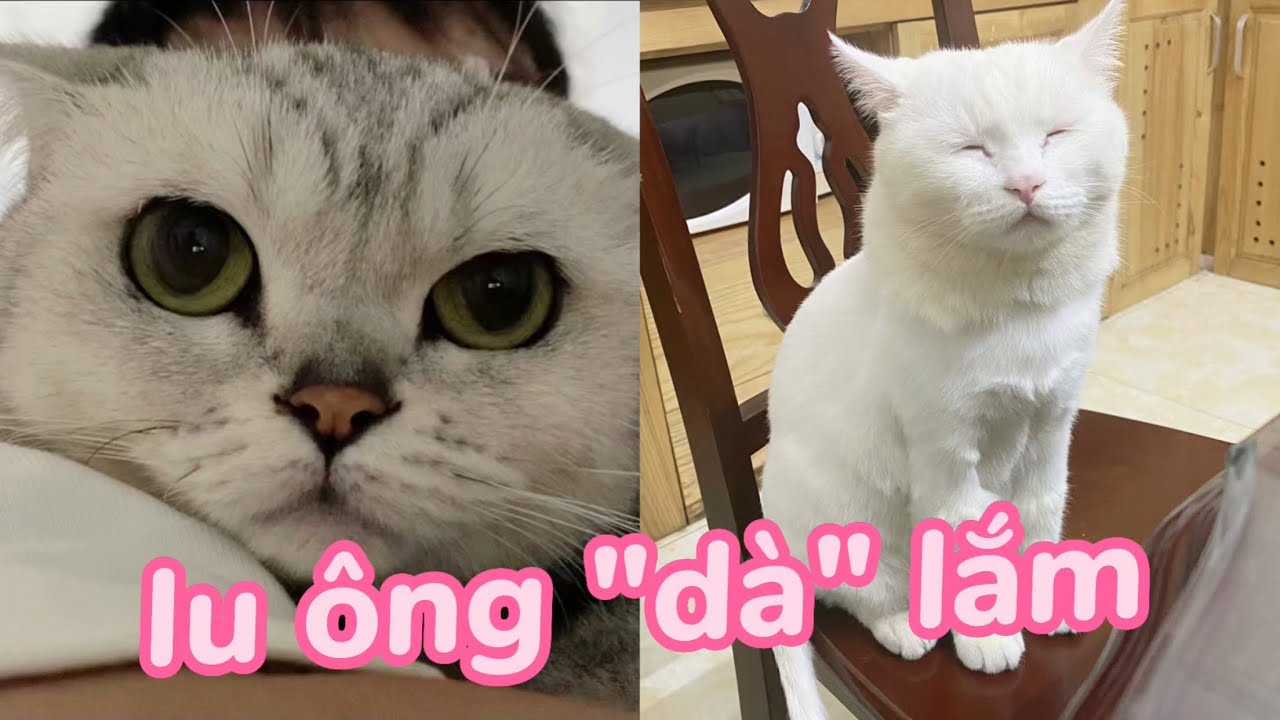 Cách thể hiện tình cảm của May và July dành cho ông "dà" - YouTube