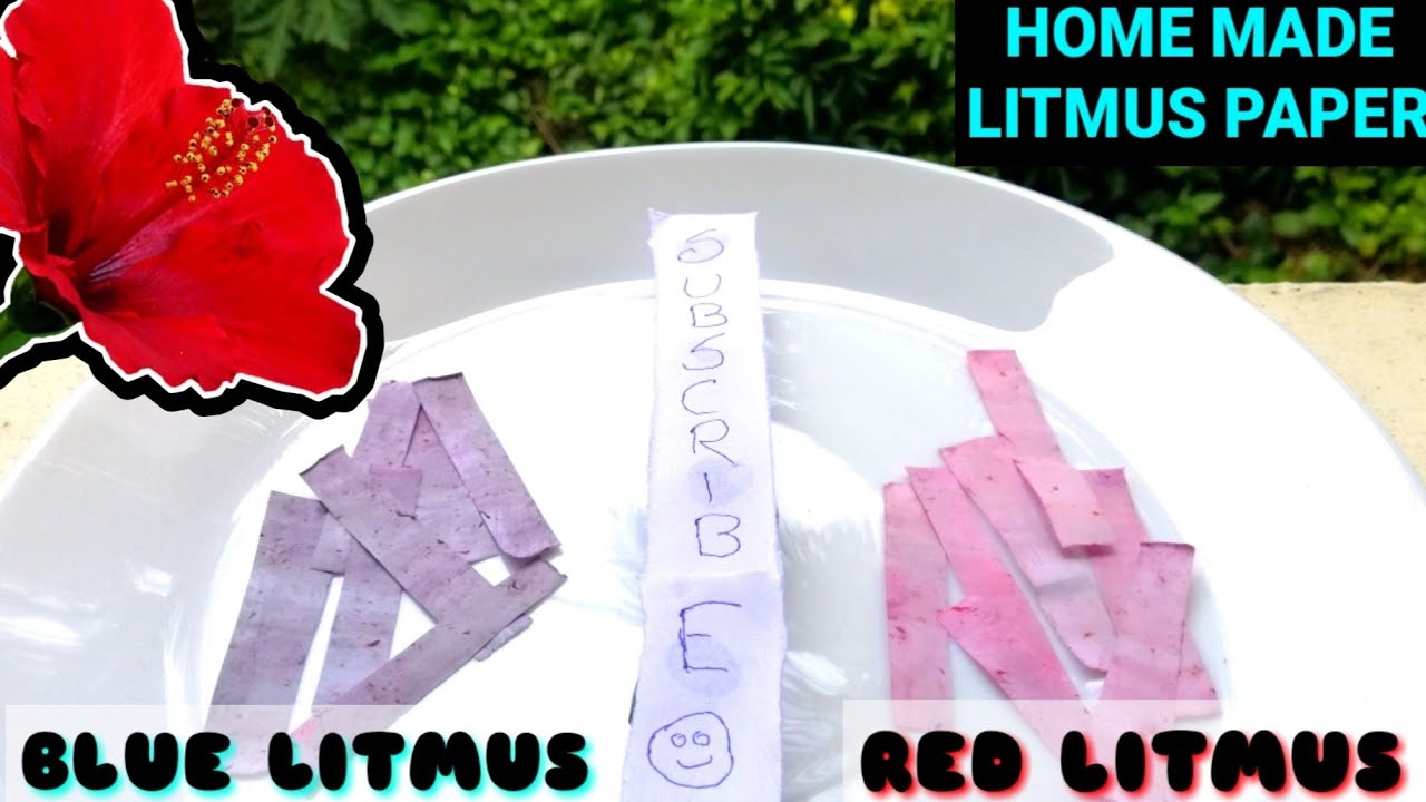 How To Make Litmus Paper At Home Making Your Own Litmus Paper At Home how-to-make-litmus-paper-at-home-making-your-own-litmus-paper-at-home