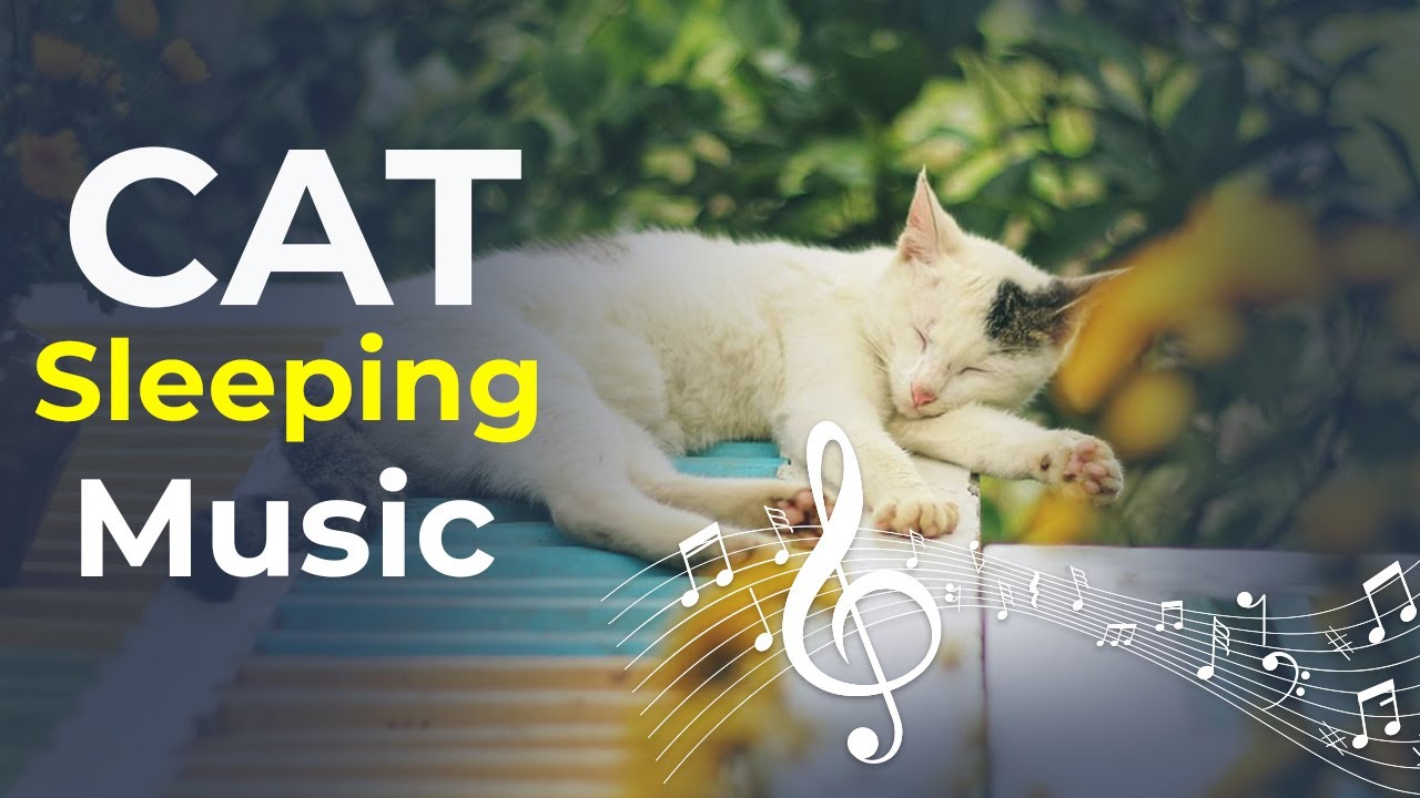 cat-music-to-calm-anxious-cats-fast-tested-cat-meditation-youtube