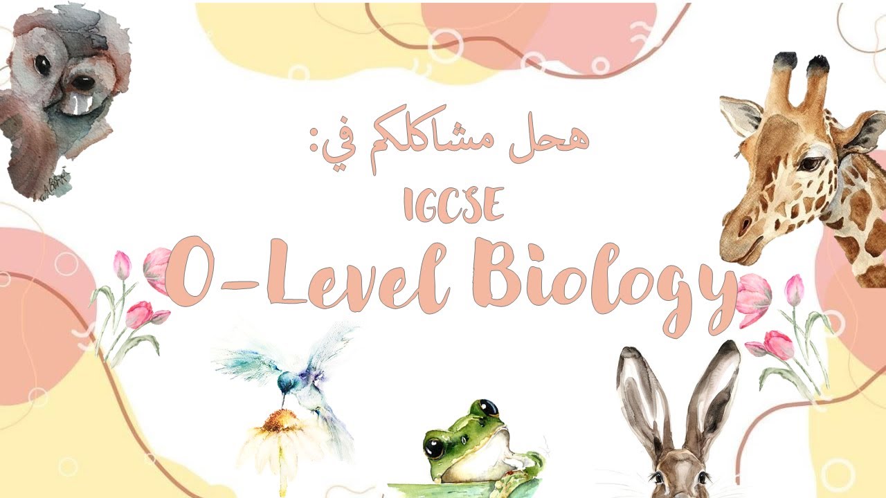 Tips for O-Level Biology IGCSE - YouTube