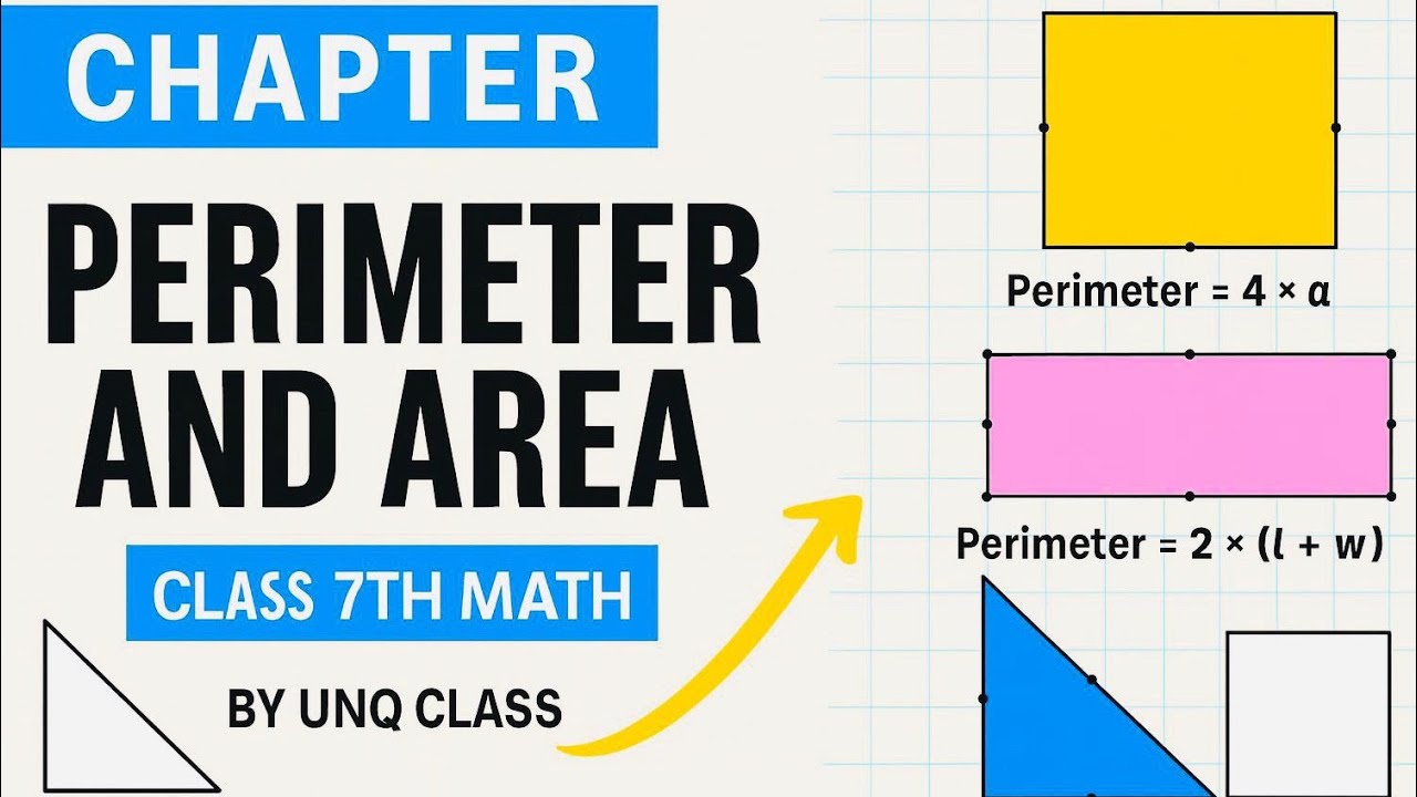 PERIMETER ANS AREA class 7 S.P 14D COMPLETE EXERCISES - YouTube