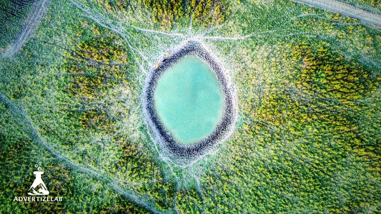 Beautiful Nature Reserve Obedska bara and Eye of Obed, Vojvodina ...