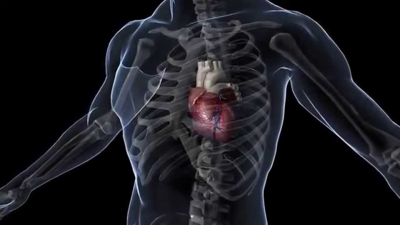 3d Animations For Courses YouTube 3d-animations-for-courses-youtube