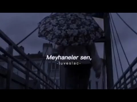 💜WhatsApp üçün yazılı status videoları,Sounds app🎶