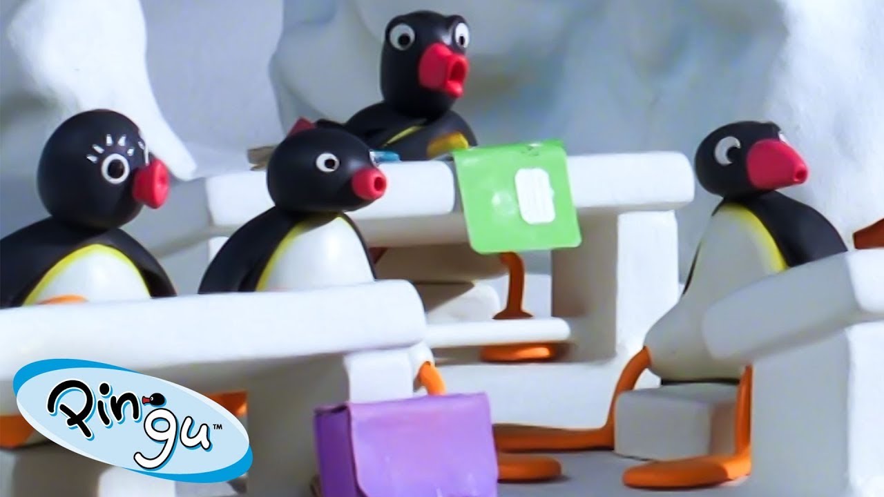Pingu Goes Back to School 🐧 | Fisher-Price | Cartoons For Kids - YouTube