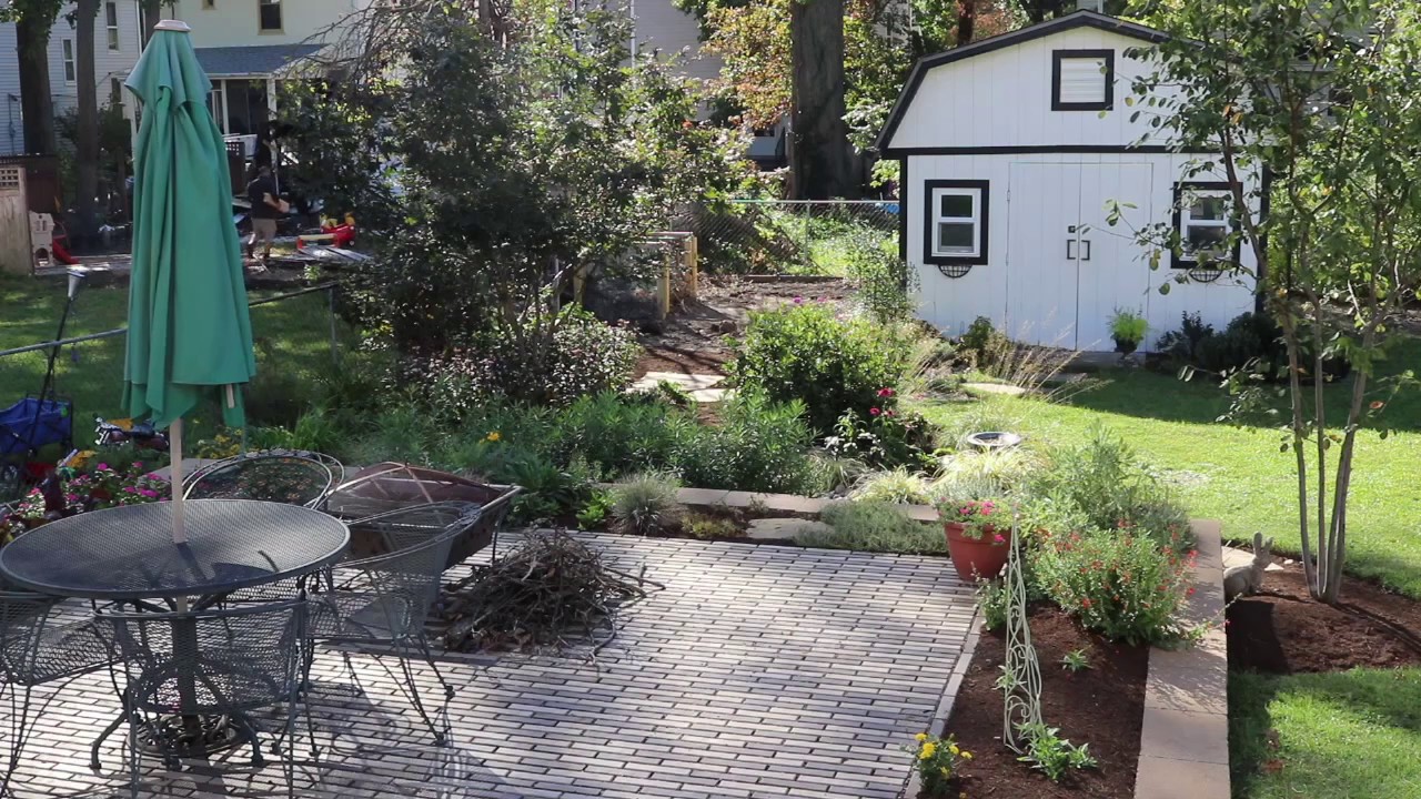 Rainscaping: What makes a rain garden and how they help your ...