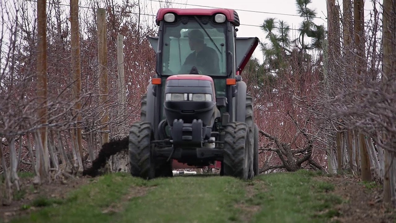 Davison Orchards -- Fertilizing the Apple Trees - YouTube