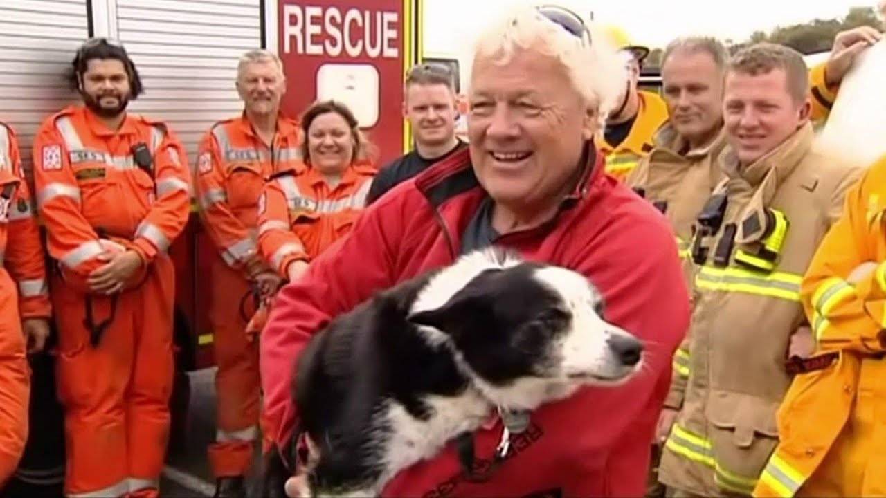 Daring dog rescue in Australia - YouTube