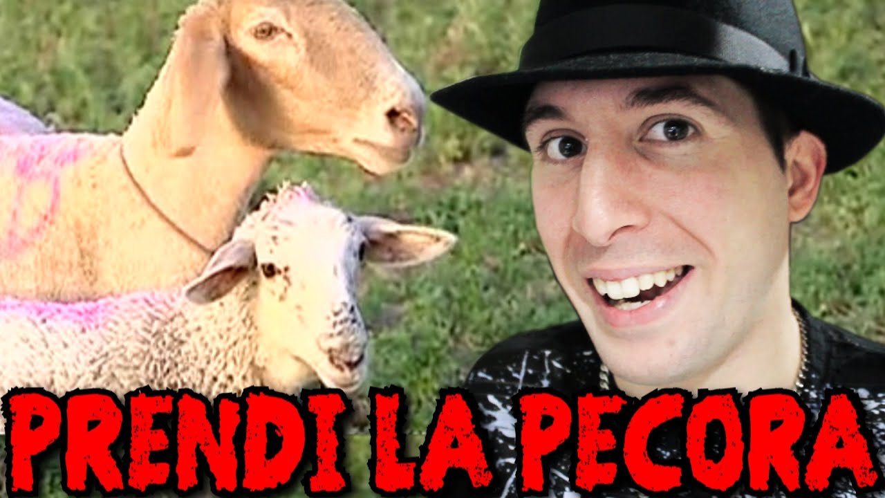 PRENDI LA PECORA - PARODIA - YouTube