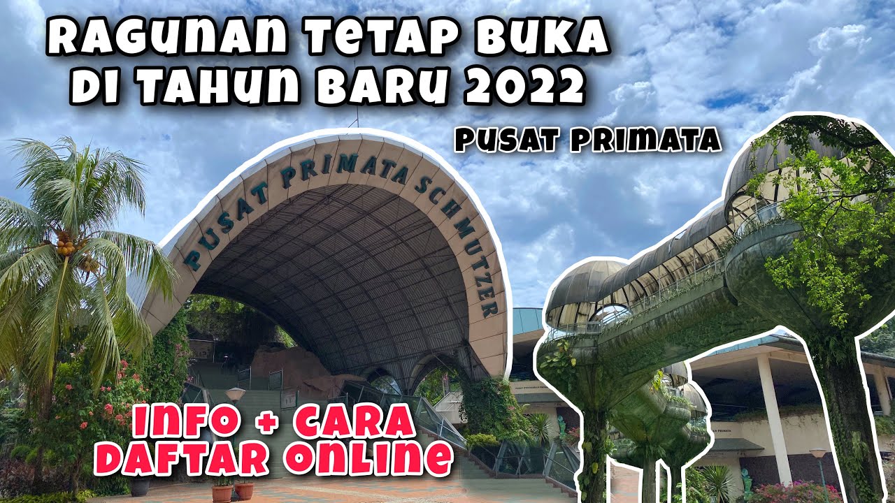Pusat Primata Ragunan Terbaru‼️ Cara Masuk Ragunan Terbaru 2022 - YouTube