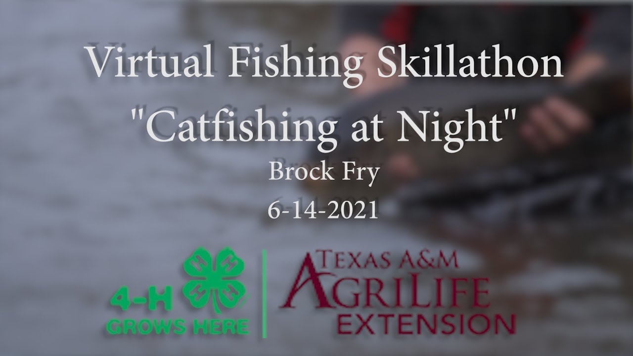 Virtual Fishing Skillathon - Night Catfishing - YouTube