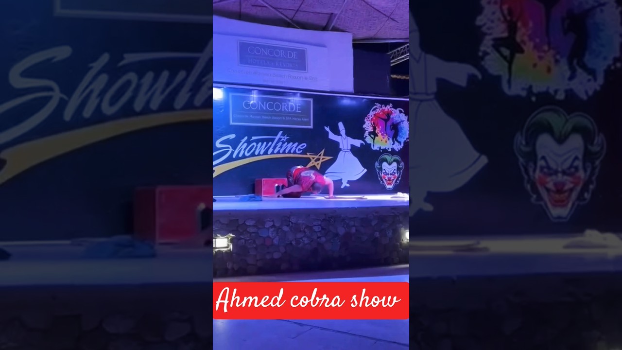 Get ready to watch an amazing cobra show in the heart of red sea ! 🐍 # ...