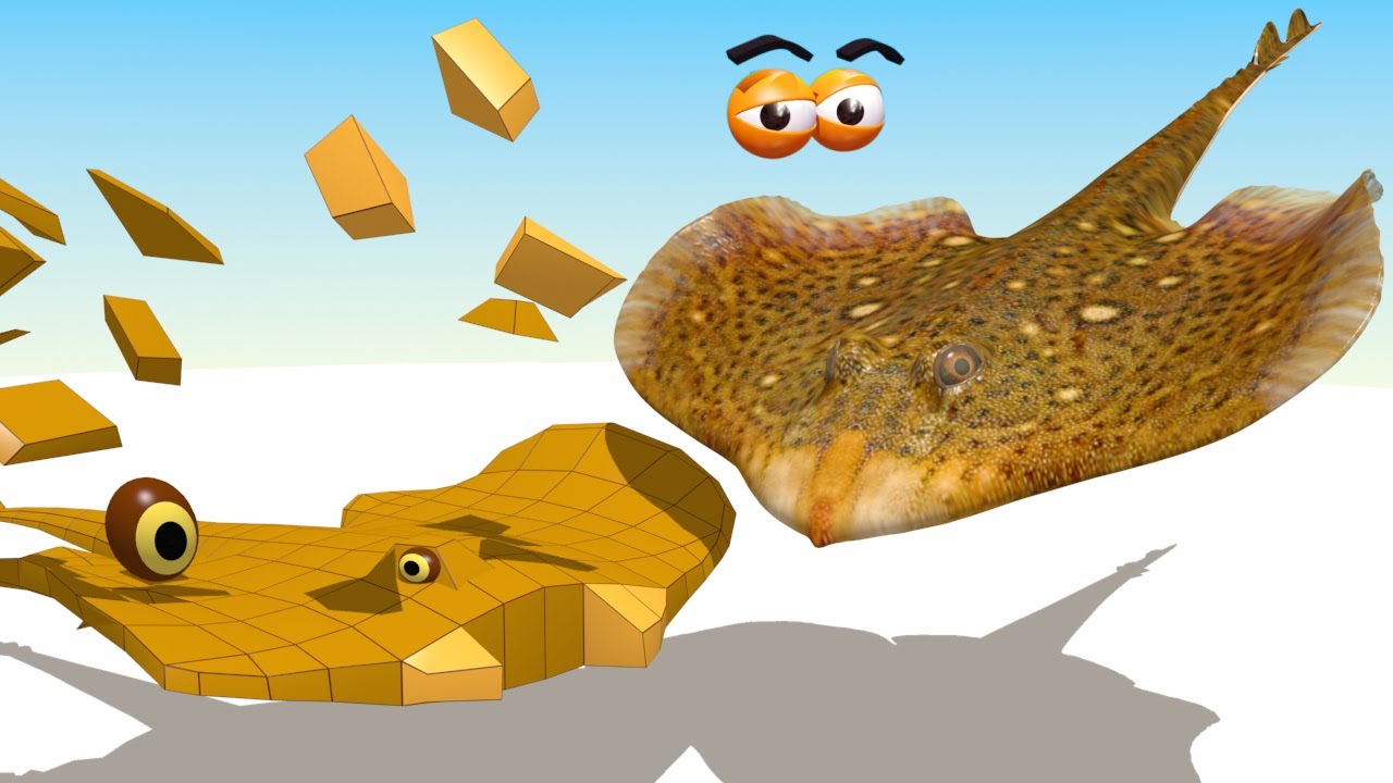 CUBE BUILDER for KIDS (HD) - Build a Stingray for Children - AApV - YouTube