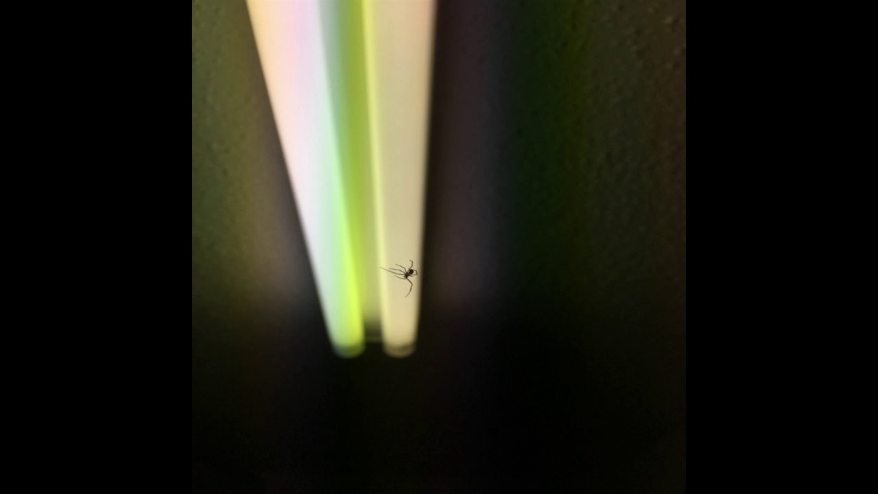 Mathew Lee Cothran - Farrah Abraham - YouTube