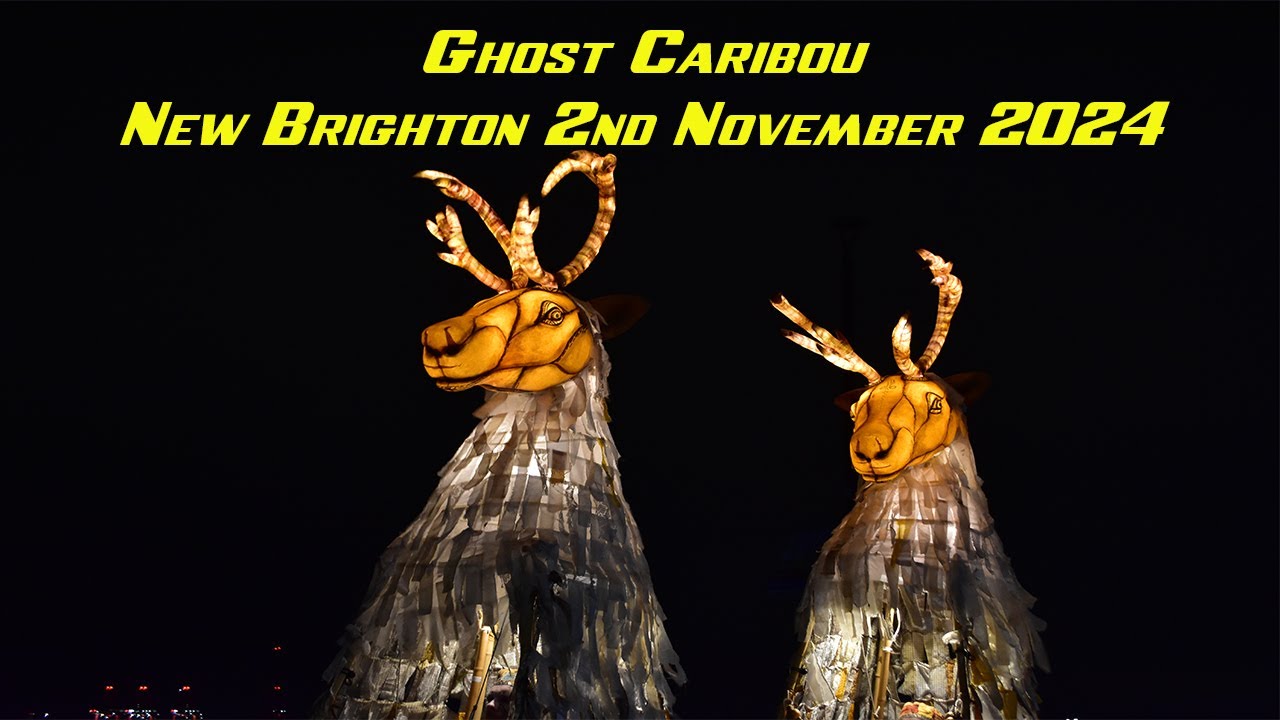 Ghost Caribou in New Brighton. - YouTube