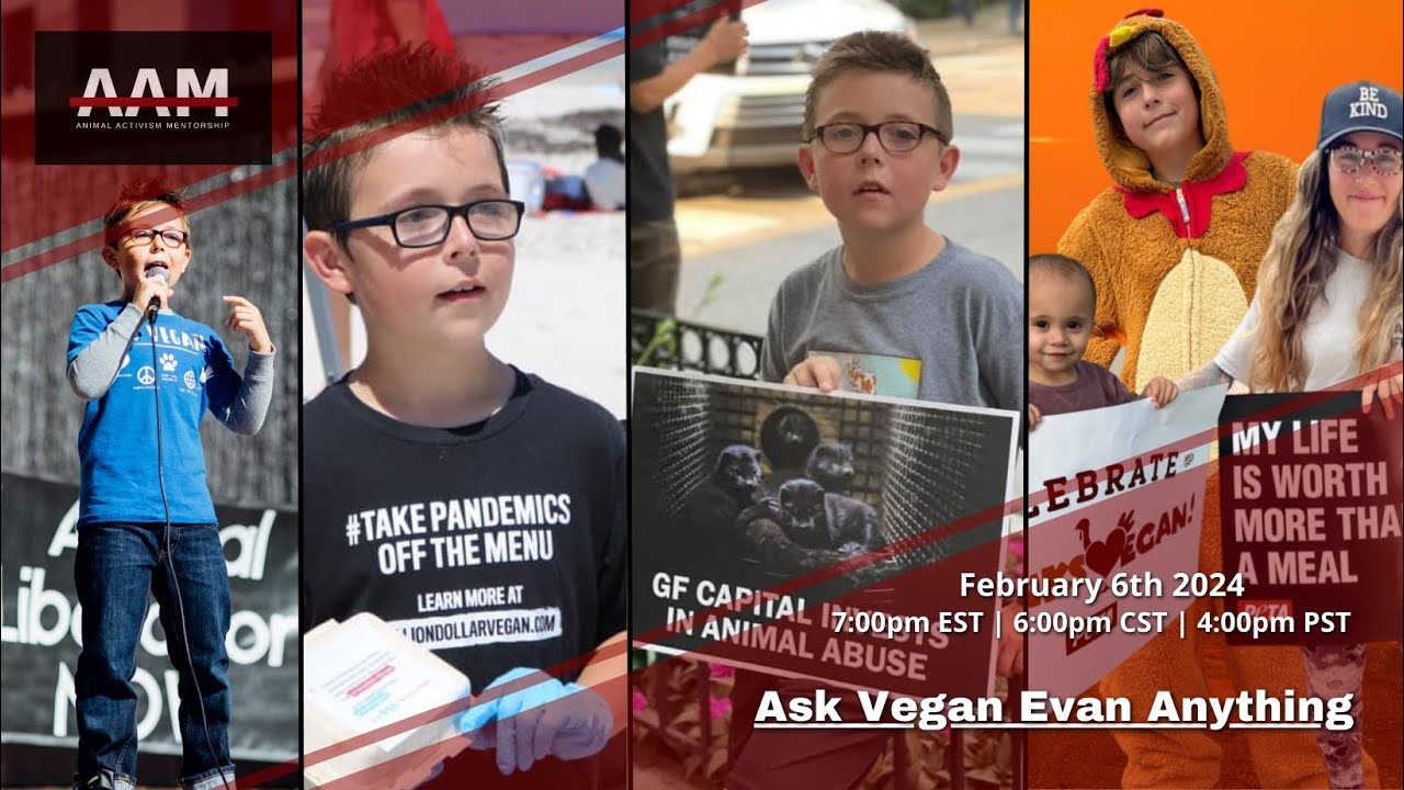 Ask Vegan Evan Anything! - YouTube