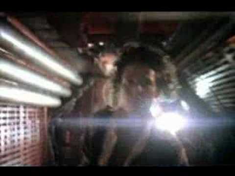 Alien Trailer (Sound Design) - YouTube
