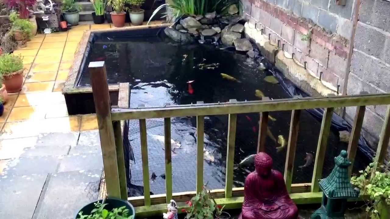 my fish pond uk - YouTube