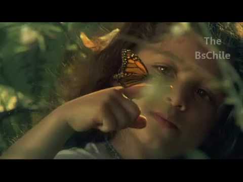 India Eye IHRO,Earth Song