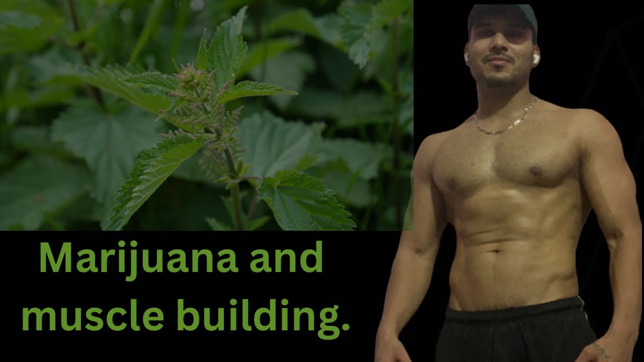 Weed and muscle building. - YouTube