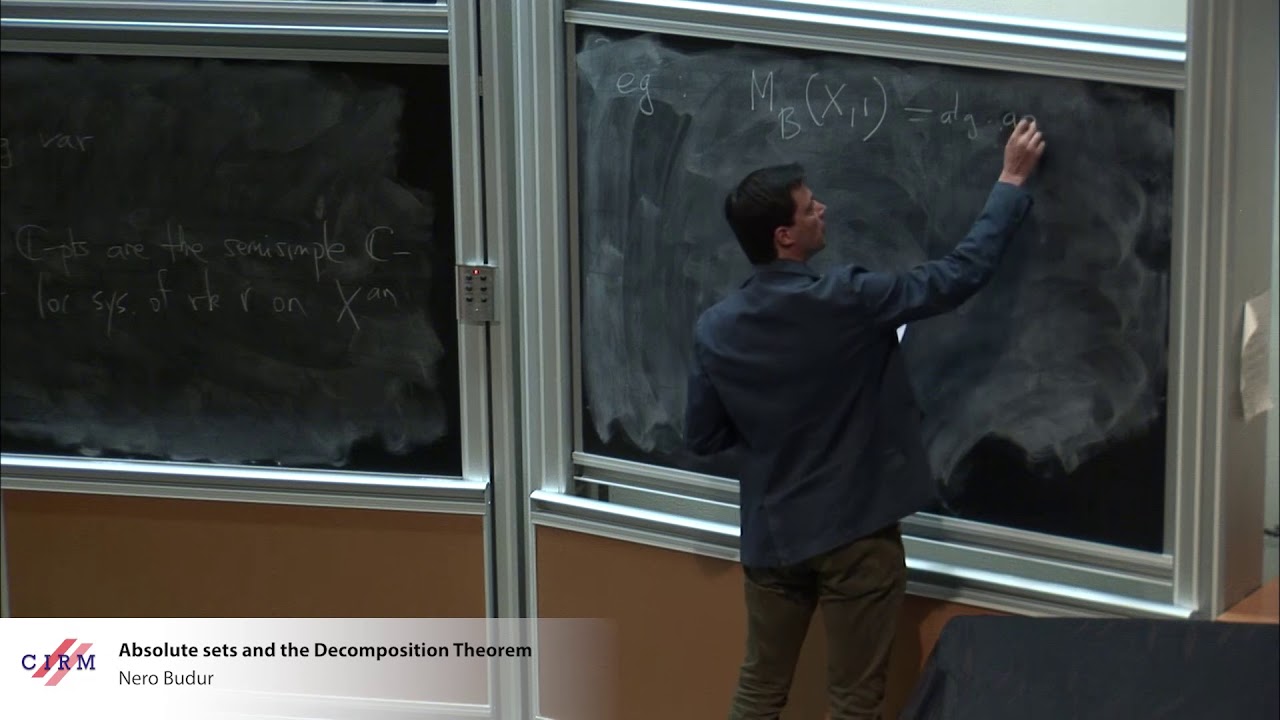 Nero Budur: Absolute sets and the Decomposition Theorem - YouTube
