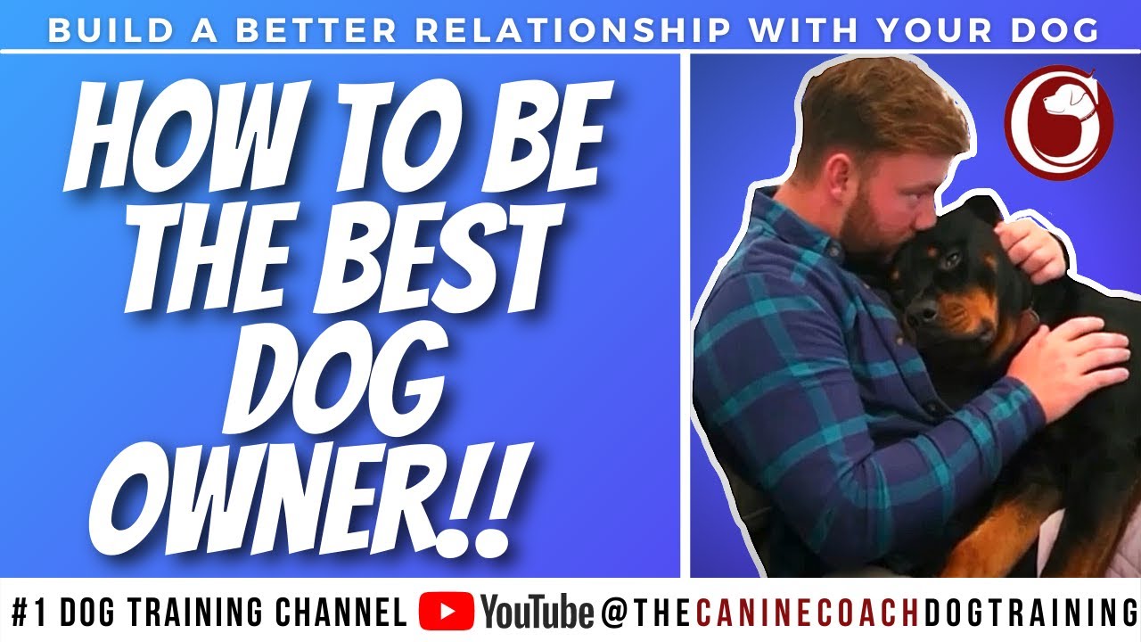 How to be the best dog owner - YouTube