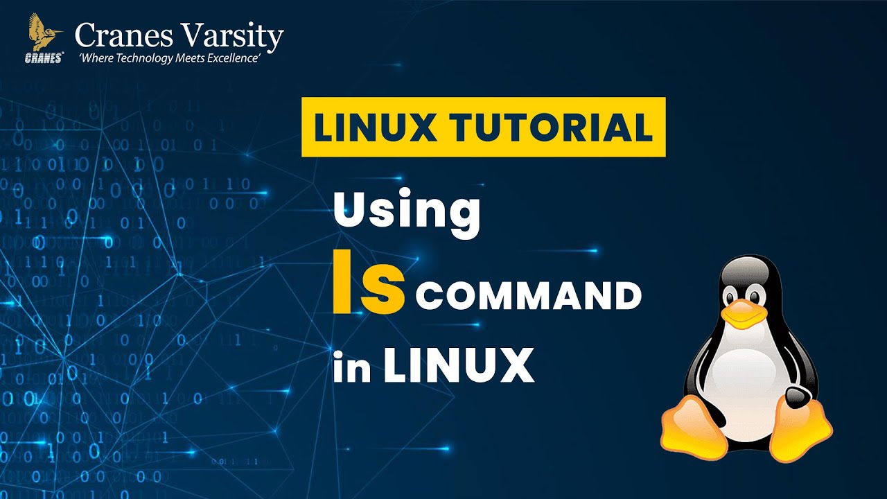 Linux Contents Of Directory Using Ls Command YouTube linux-contents-of-directory-using-ls-command-youtube