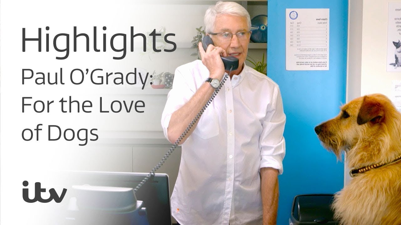 Paul O'Grady: For the Love of Dogs | Paul's Jobs at the Kennels ...