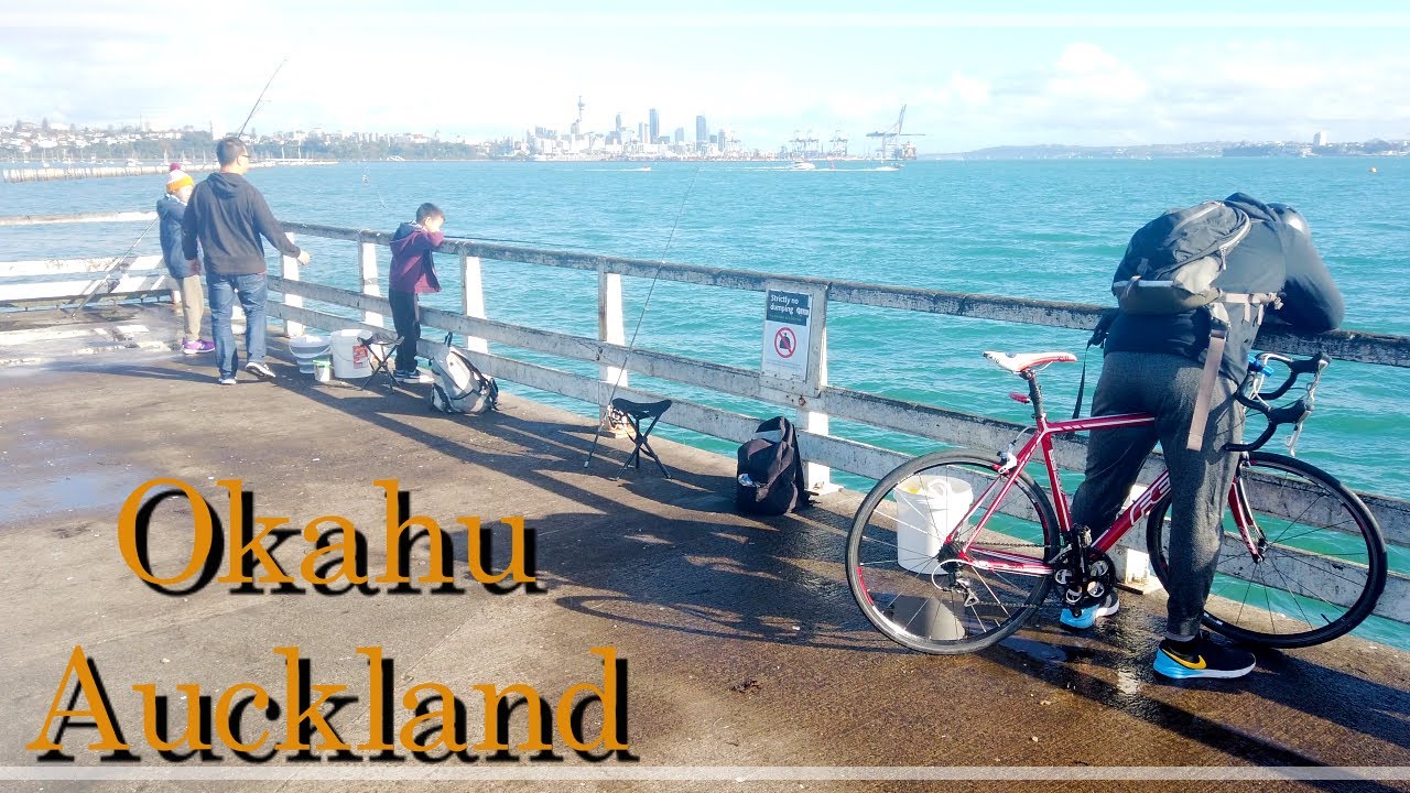 [4K Virtual Tour] 👉Okahu Bay Wharf 👉Okahu Bay #New Zealand#Auckland# ...
