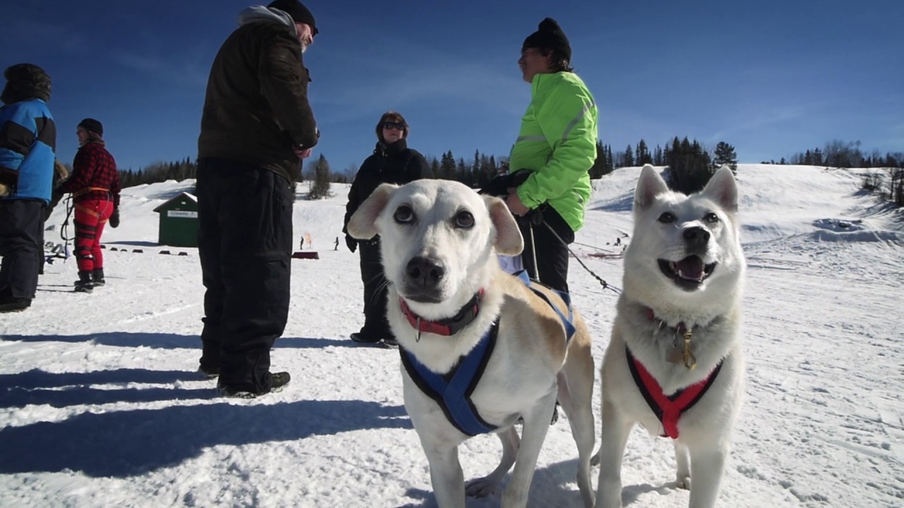 Great Winter Escapes Kenora Ontario YouTube great-winter-escapes-kenora-ontario-youtube