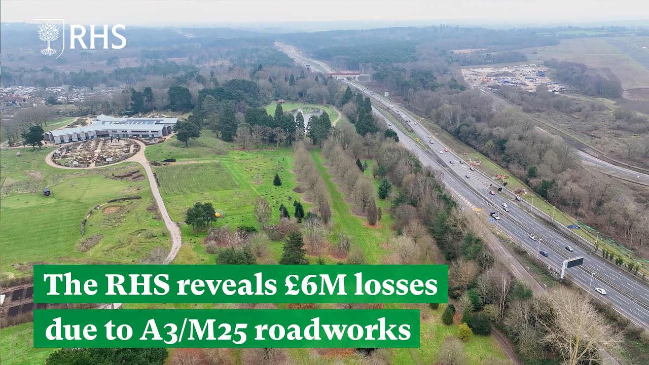 The RHS reveals £6M losses due to A3/M25 roadworks and calls on ...