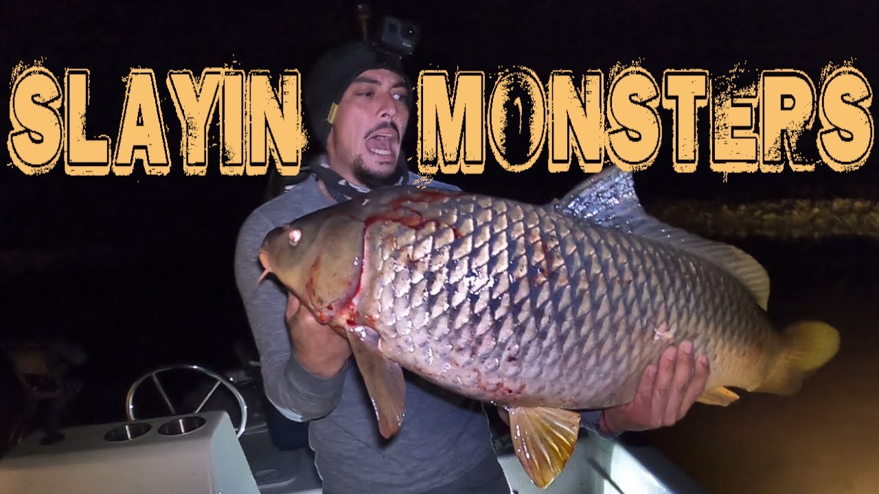 Bowfishing the Potomac!! Huge Snakehead shot! - YouTube