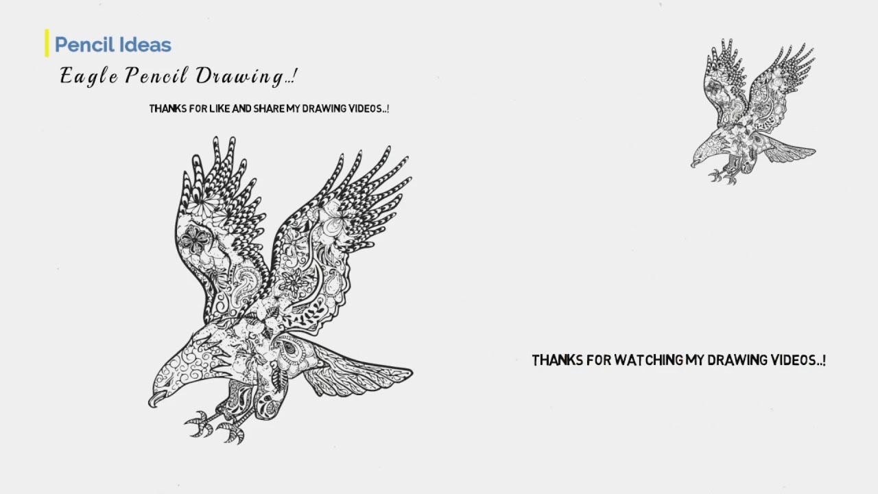 10 Minute Eagle Hand Drawing | Painting | Pencil Drawing - YouTube