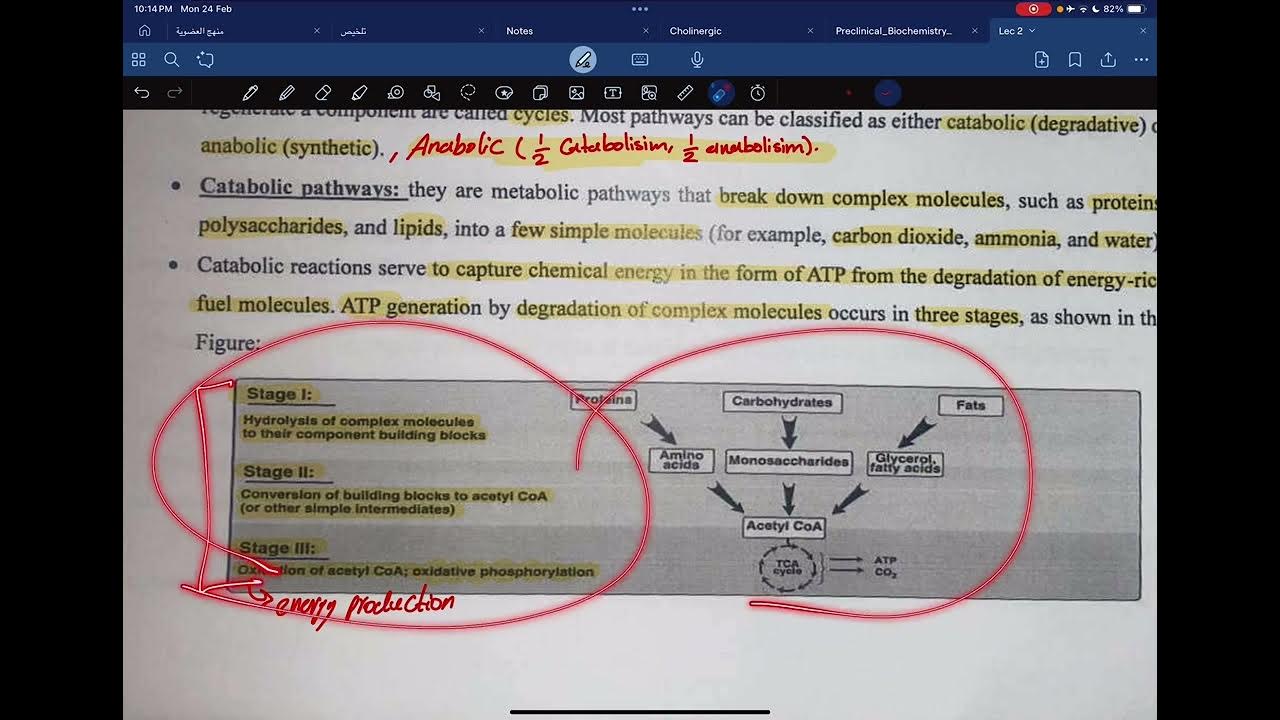 بايوكمستري نظري || ، Lec 2 part 1 - YouTube