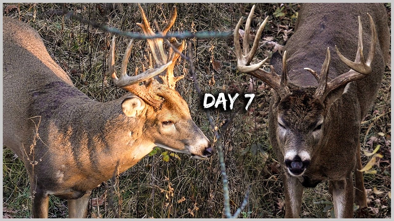 Day 7: I Rattled In Six Bucks (At Least!) - YouTube