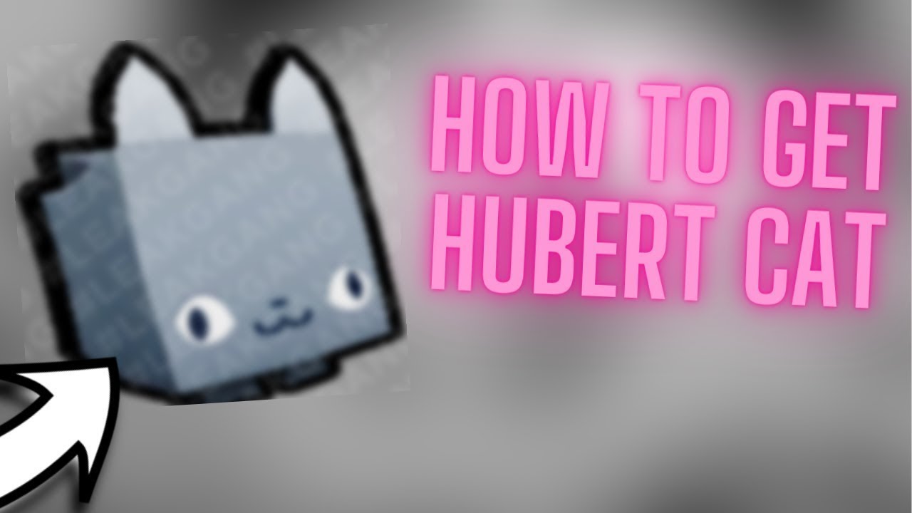 Is this how you get the mini cat/Hubert??? - YouTube
