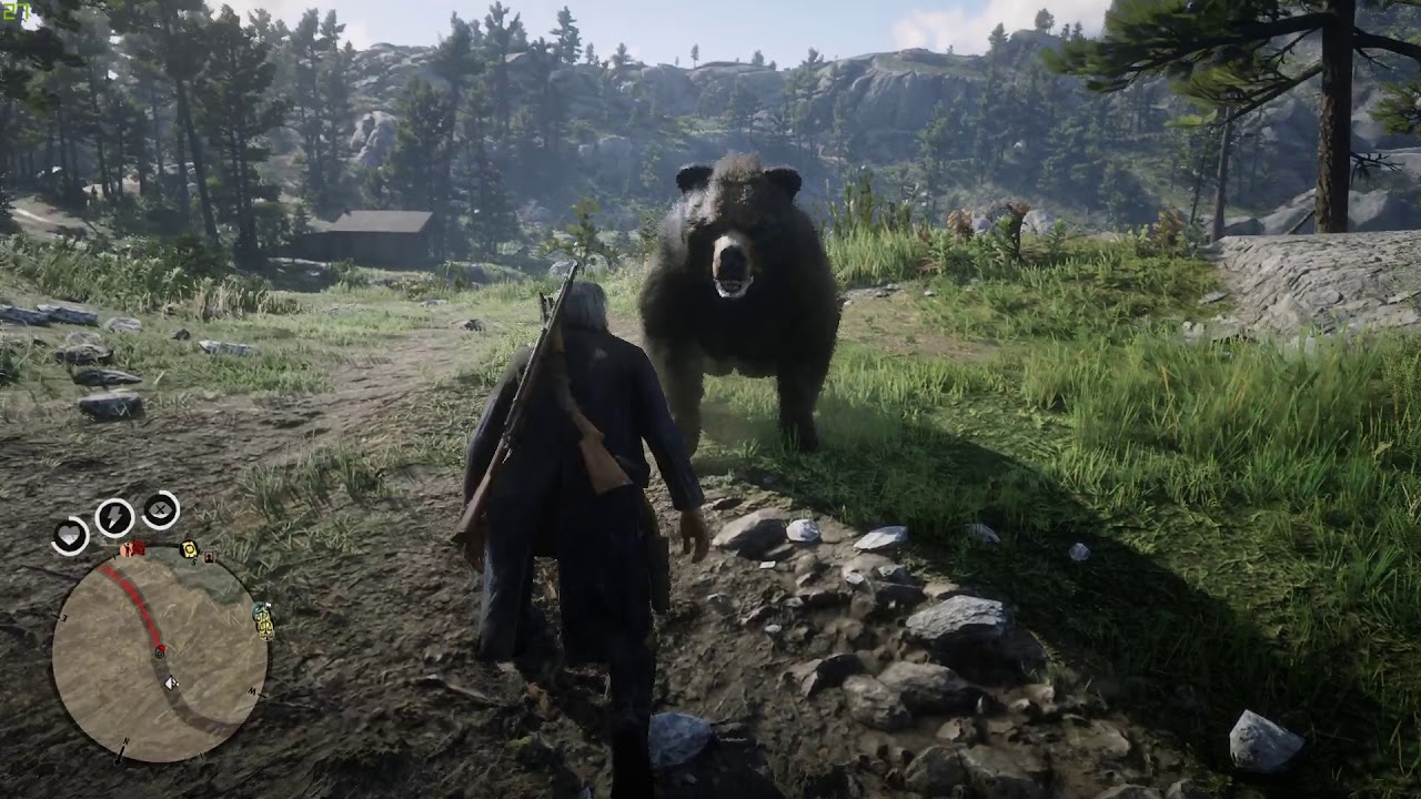 Hello Mr Bear - YouTube