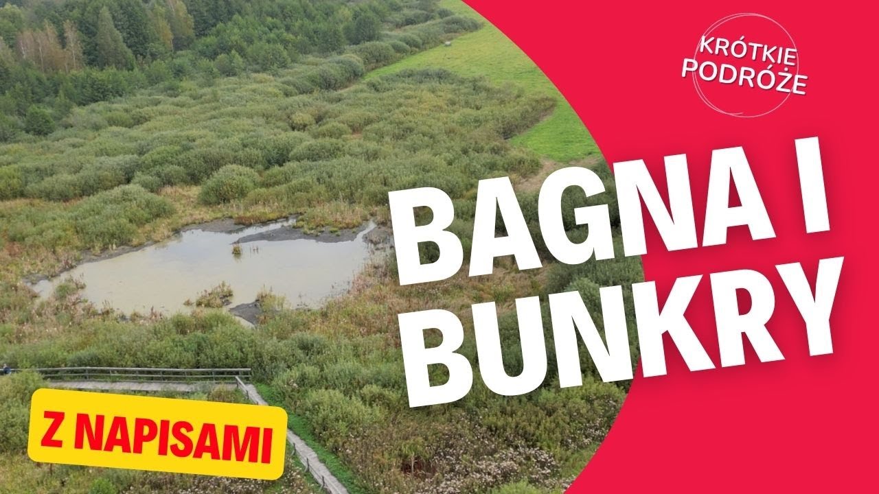 Bagno Całowanie, Bagno Bocianowskie i bunkry na Dąbrowieckiej Górze ...