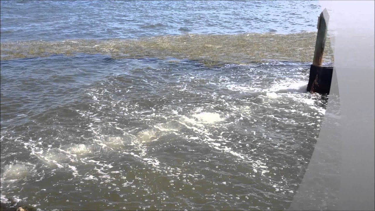 Air Bubble Curtain to prevent floating weeds and debris - YouTube