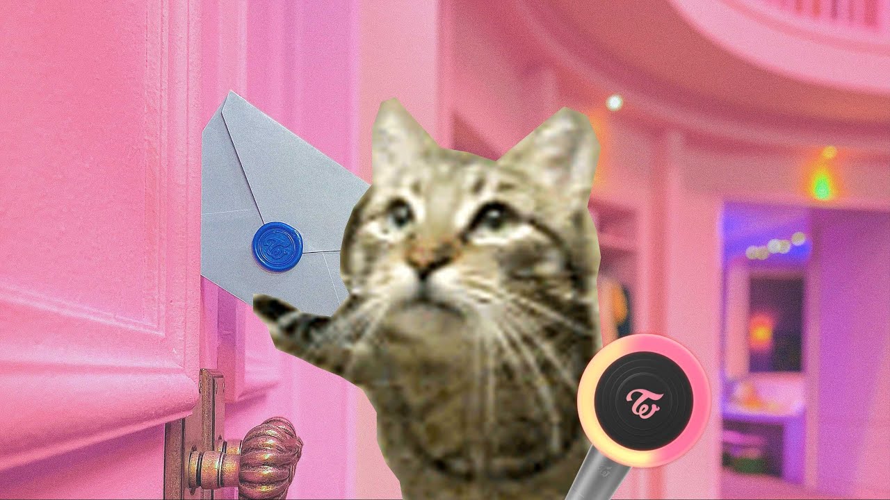 the feels but it's a cat singing (meowsynth cover) - YouTube