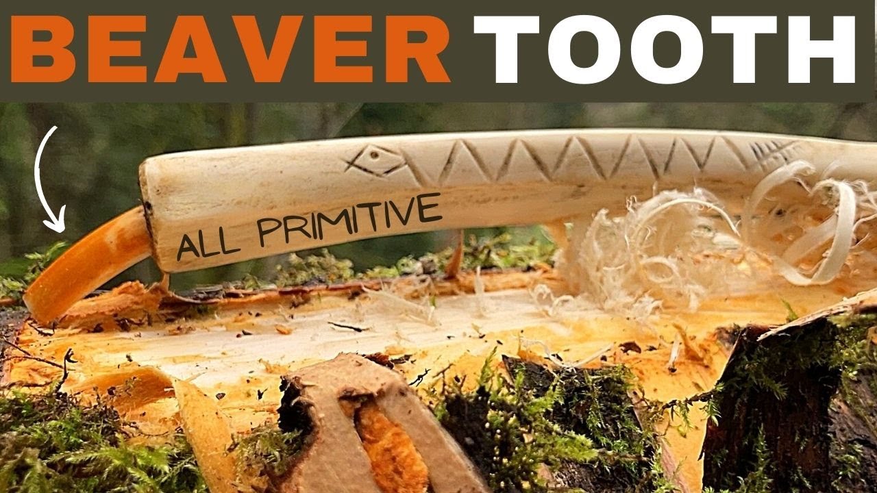 The Beaver Tooth Chisel - YouTube