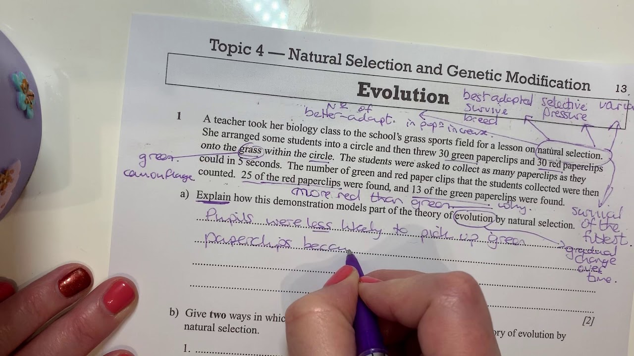 Biology GCSE - Evolution 6 mark Q - YouTube